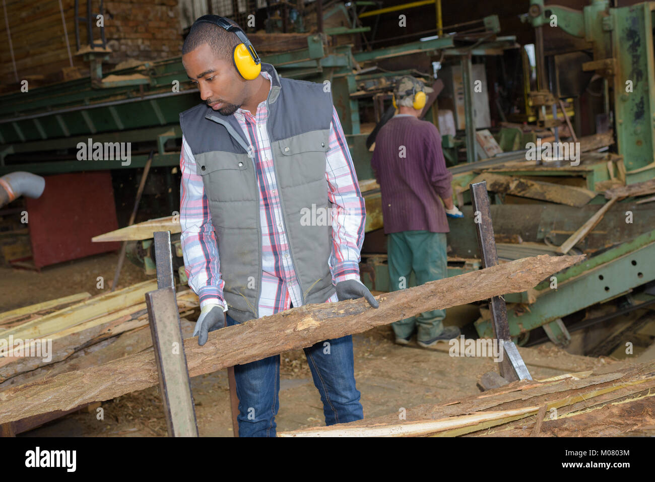 sorting the lumber Stock Photo - Alamy