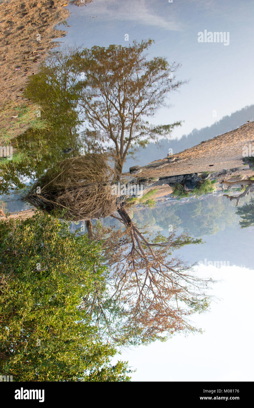 Environment horizon hi-res stock photography and images - Alamy