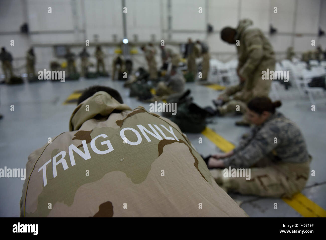Members of the 145th Airlift Wing don Joint Service Lightweight ...