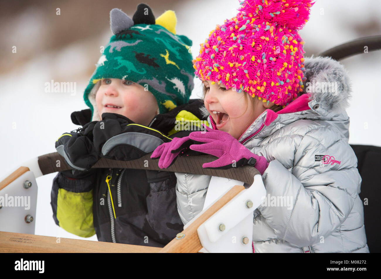 Dog merrick hi-res stock photography and images - Alamy