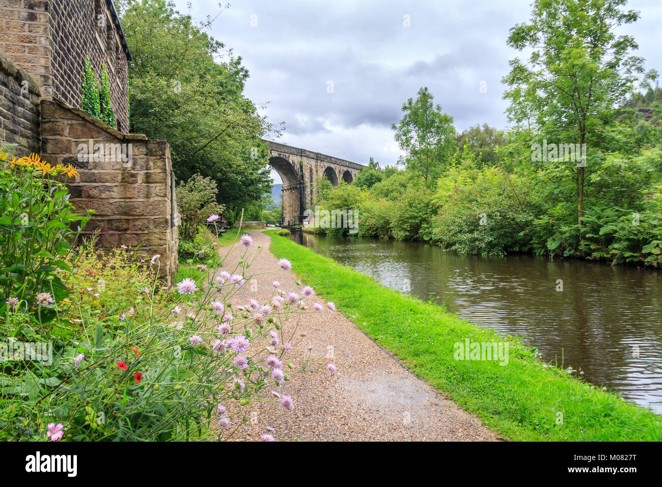 Wild flowers, towpath, viaduct over the Huddersfield Narrow Canal ...