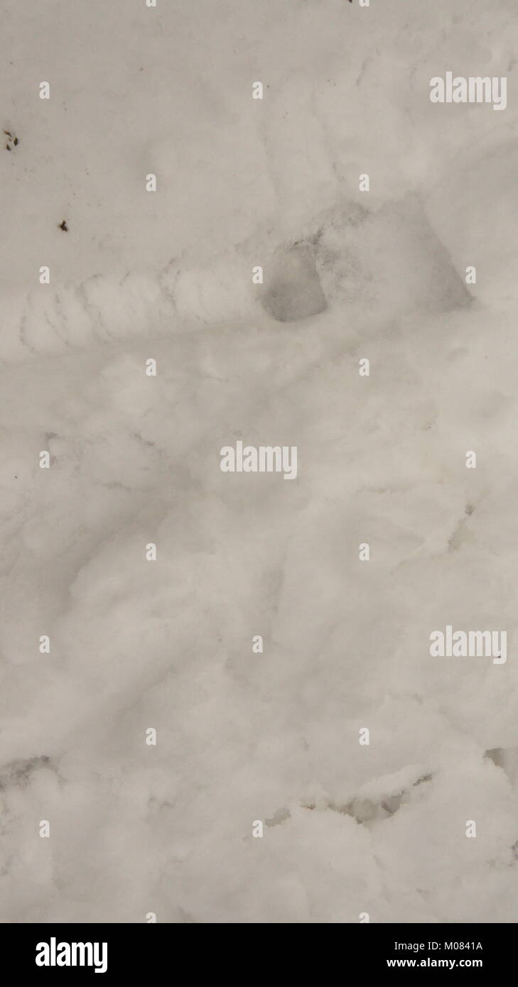 Snowy background snow texture. White snow flat layer lying on the ...