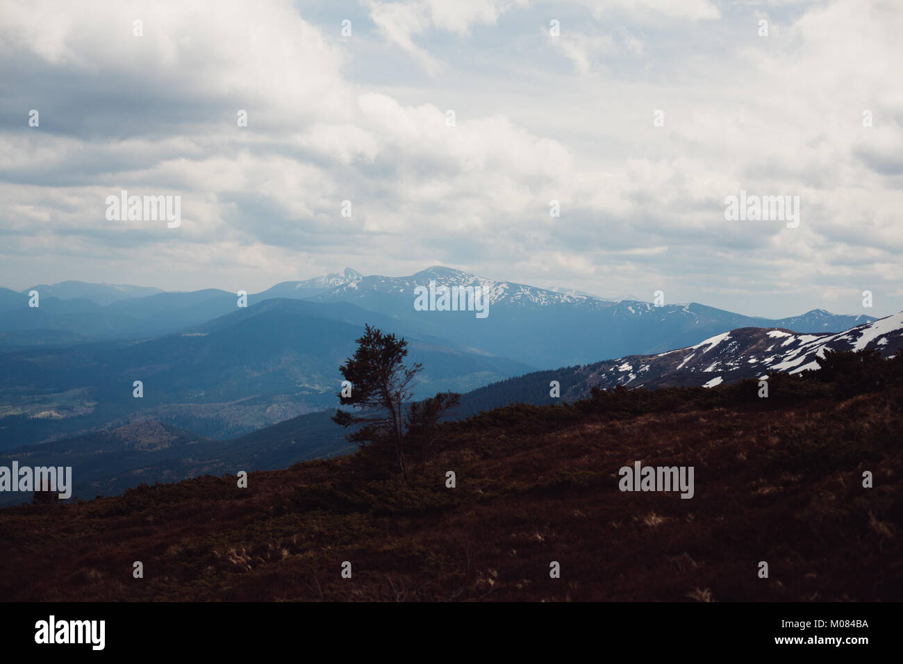 landscape in mountains Carpathians Ukraine, Dragobrat Horizontal Image ...