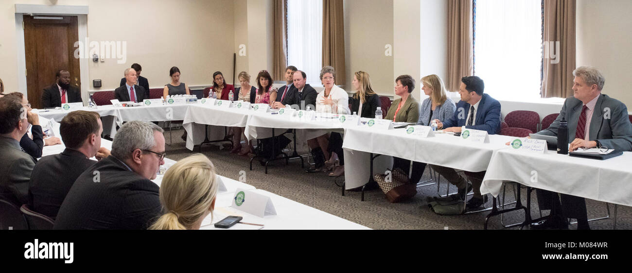 The Agriculture and Rural Prosperity Task Force working group meeting ...