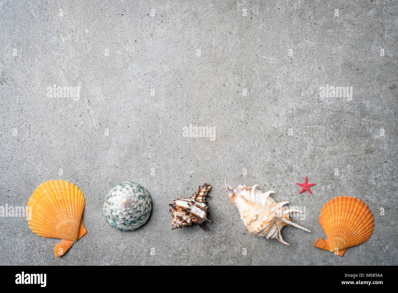 Stack of seashells hi-res stock photography and images - Alamy