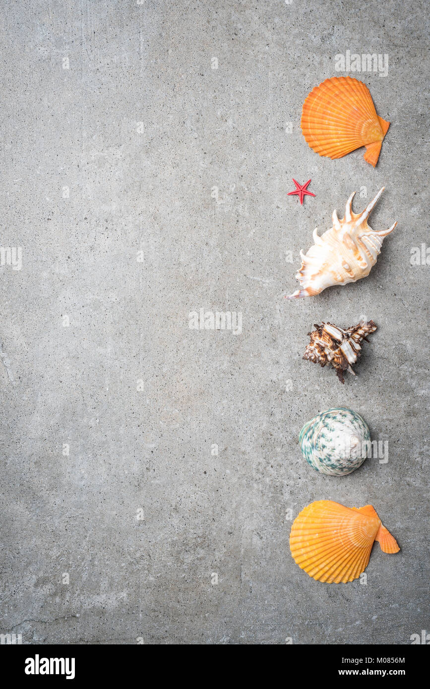 Stack of seashells hi-res stock photography and images - Alamy