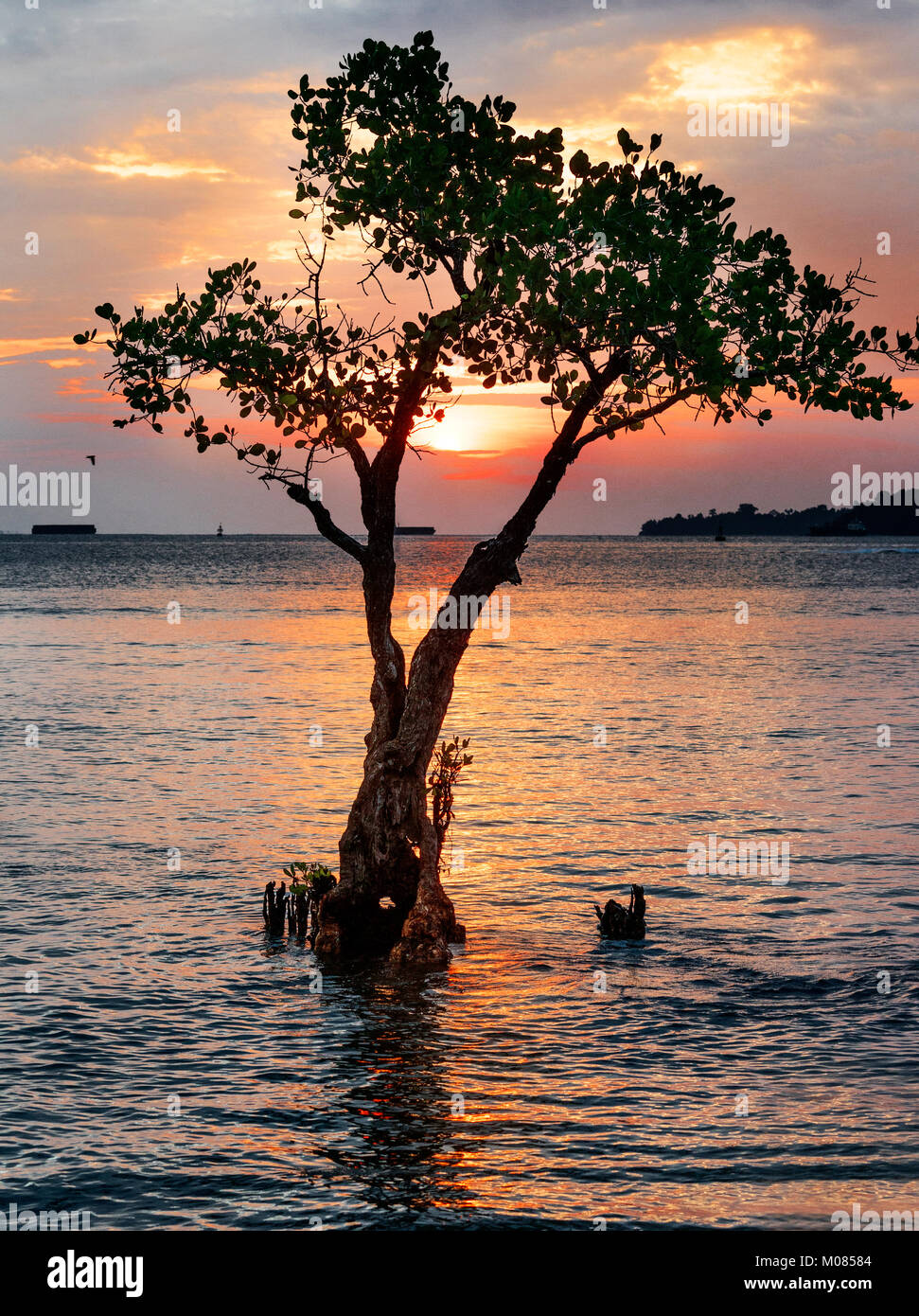 Indonesia authentic hi-res stock photography and images - Alamy