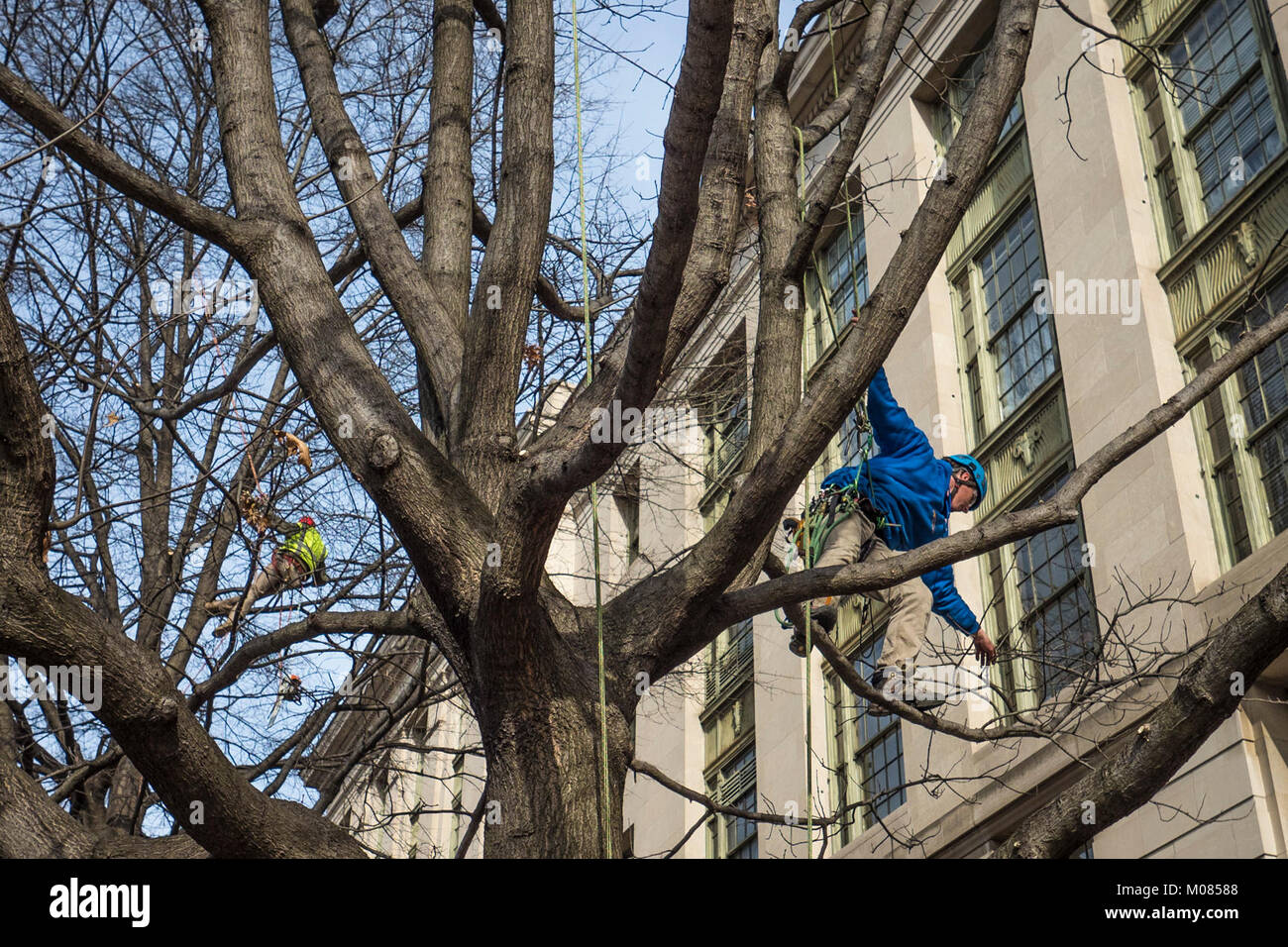 Usda south building hi-res stock photography and images - Alamy