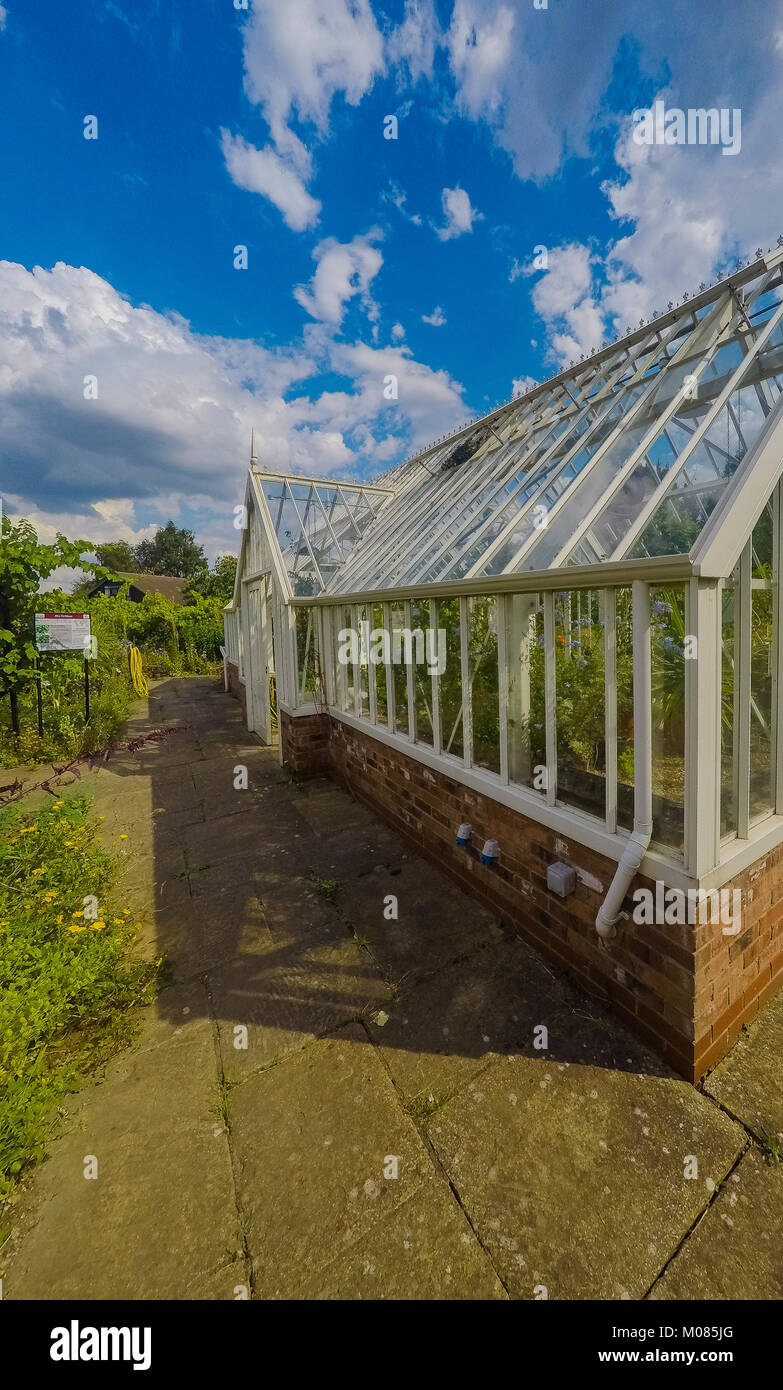 greenhouse ryton organic gardens nr. coventry midlands england Stock ...