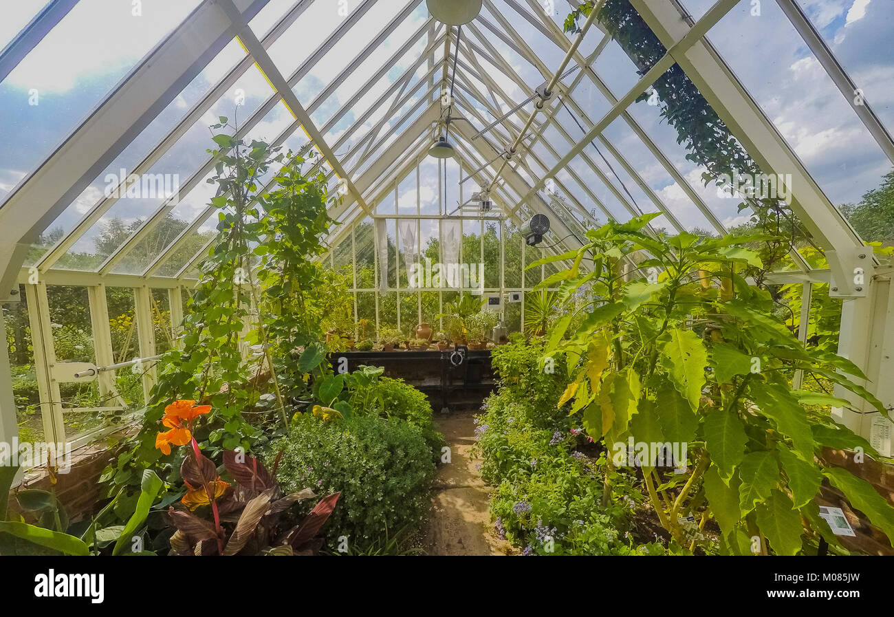 Ryton organic gardens hi-res stock photography and images - Alamy