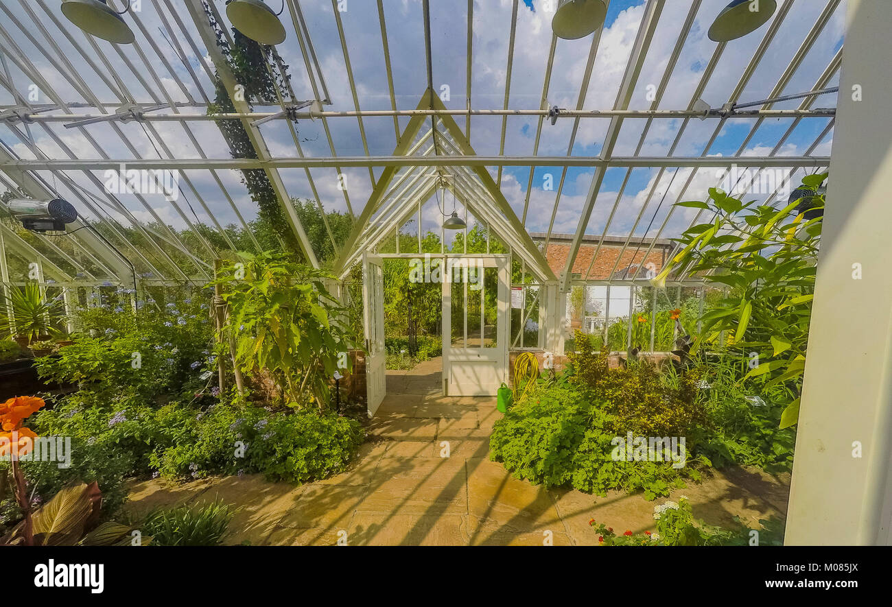 greenhouse ryton organic gardens nr. coventry midlands england Stock ...