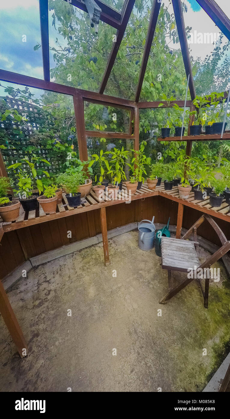 Ryton organic gardens hi-res stock photography and images - Alamy