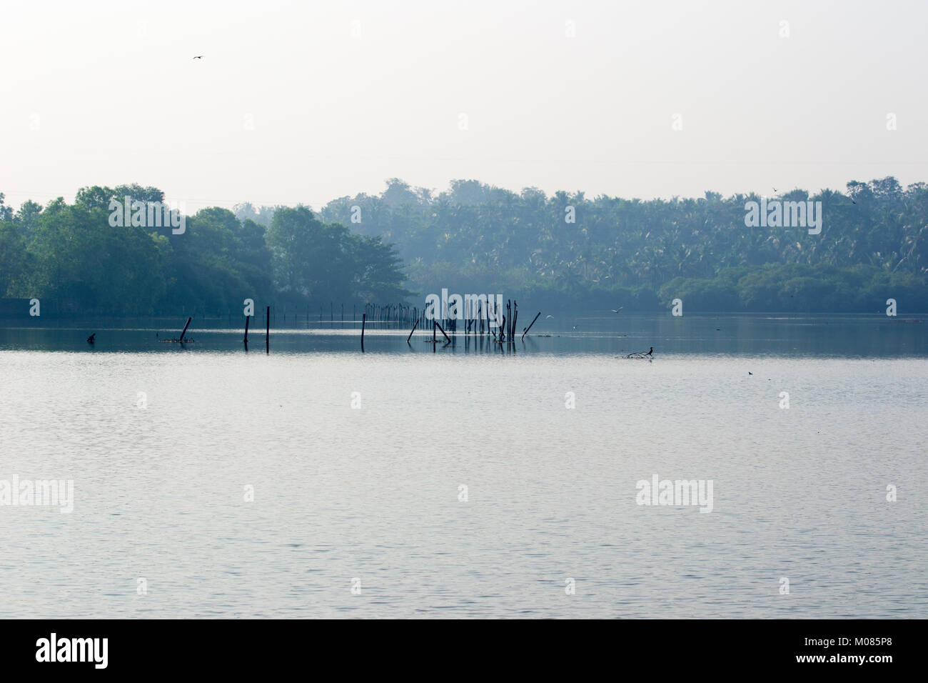 Beautiful Lake View Stock Photo - Alamy