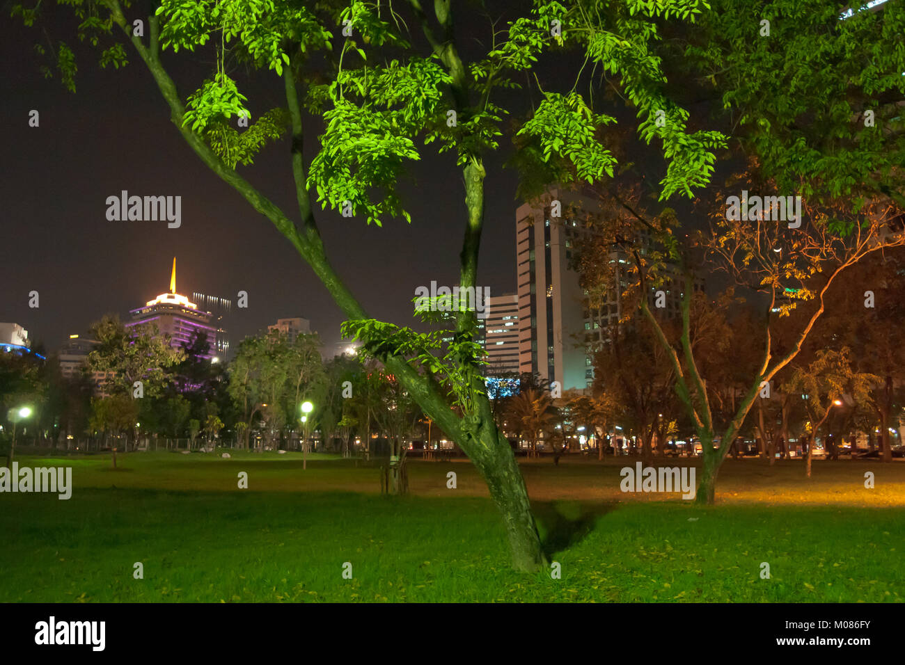 Lumphini Park at night, Bangkok, Thailand Lumphini Park (also Lumpini ...