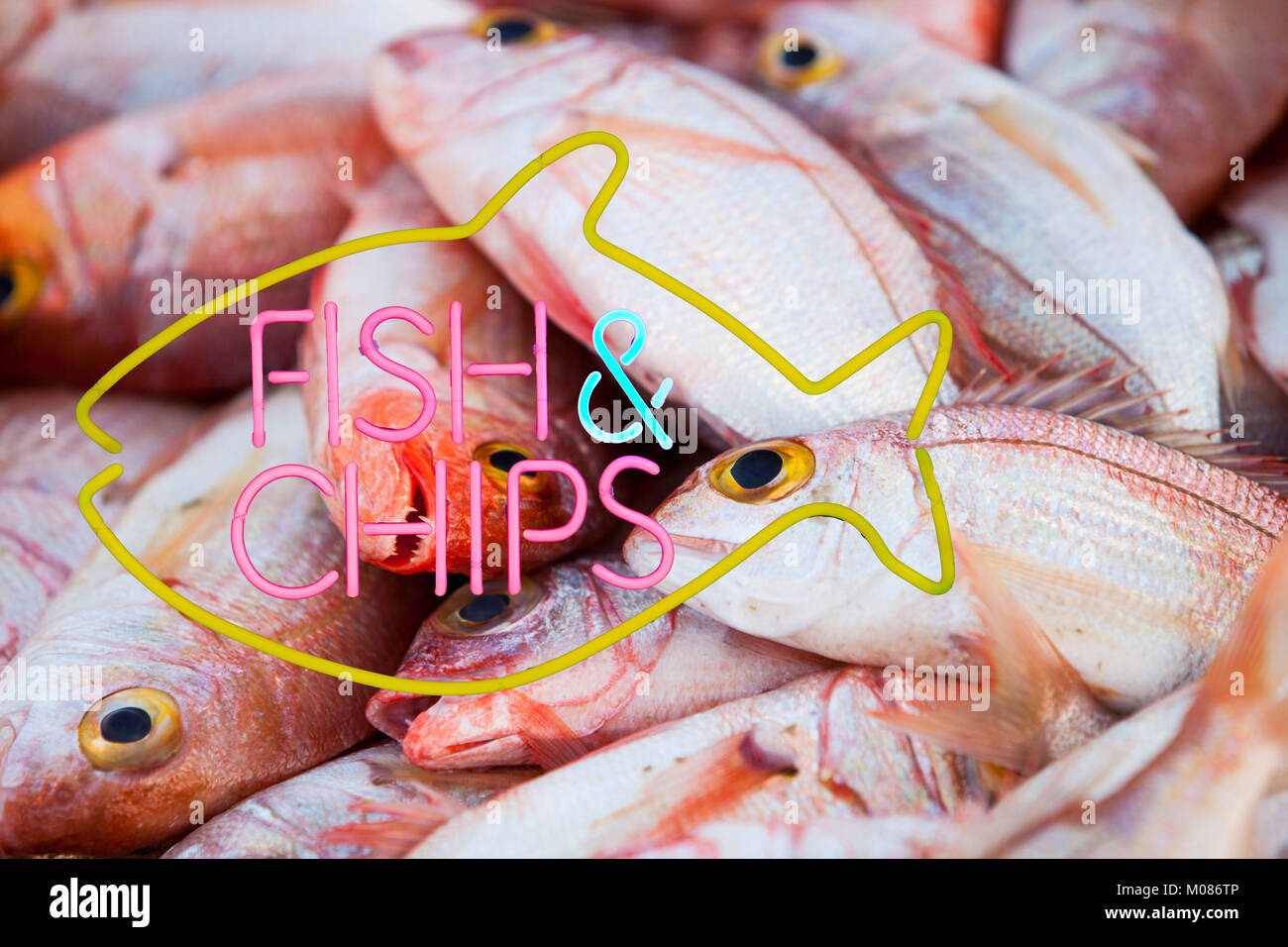 Sustainably caught fish on a traditional Greek fishing boat in Myrina ...