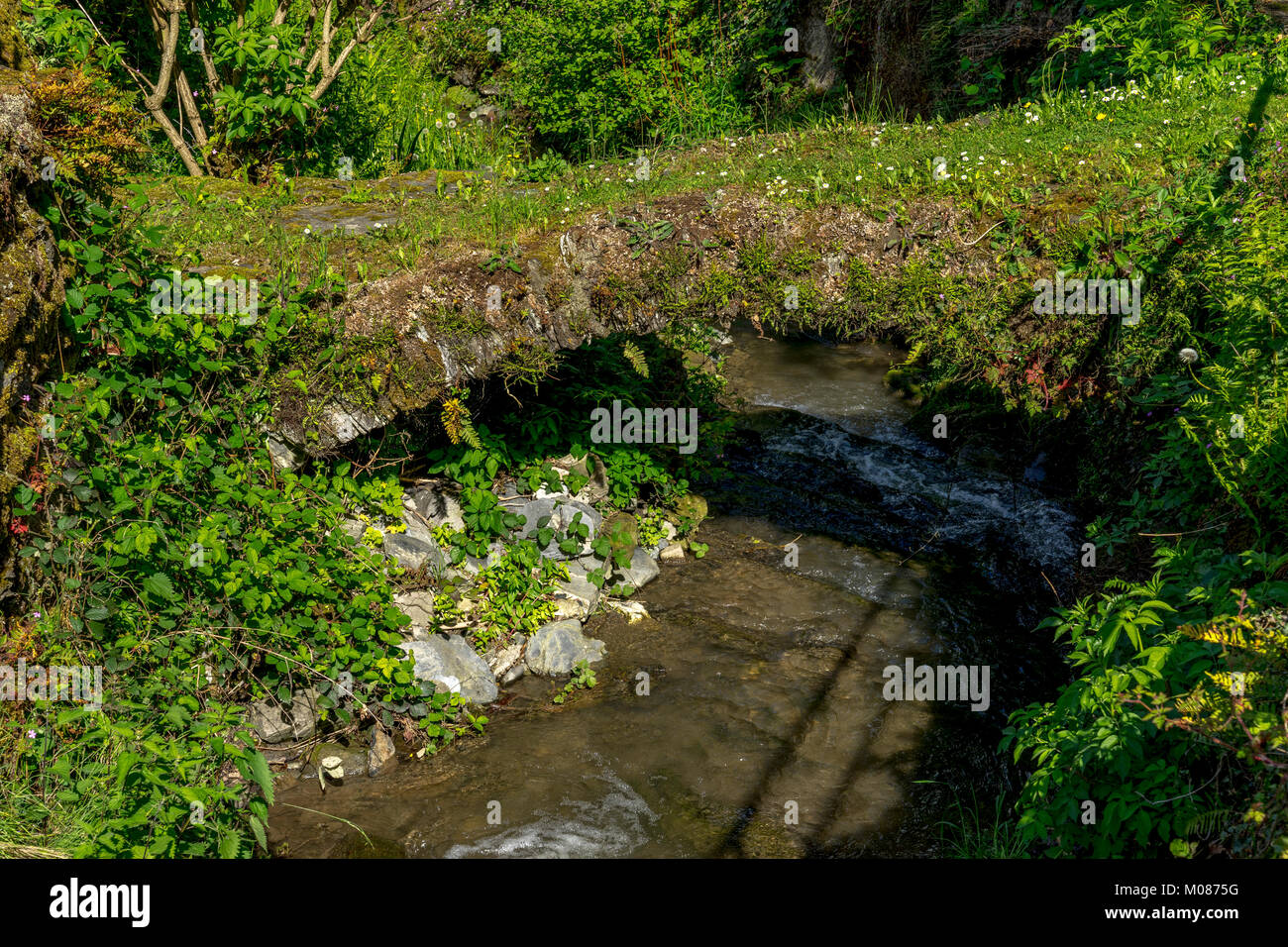 Medieval stone bridges lead across a brook in Bacharach to the Rhine ...