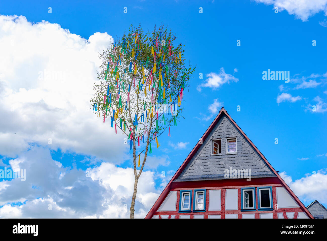 Maypole in the foreground of a half-timbered house. German customs in ...