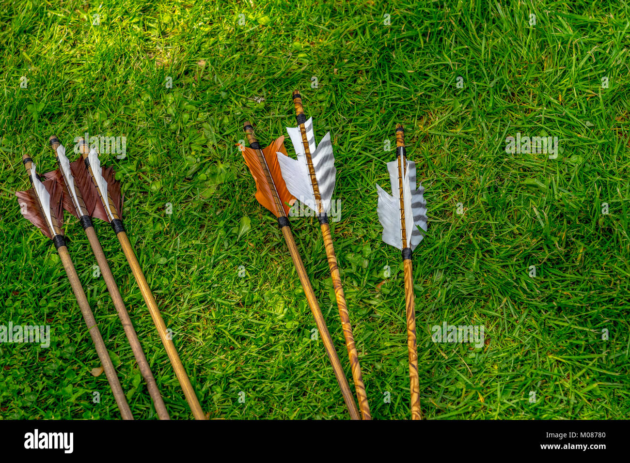 Colorful arrows lie on a meadow Stock Photo - Alamy