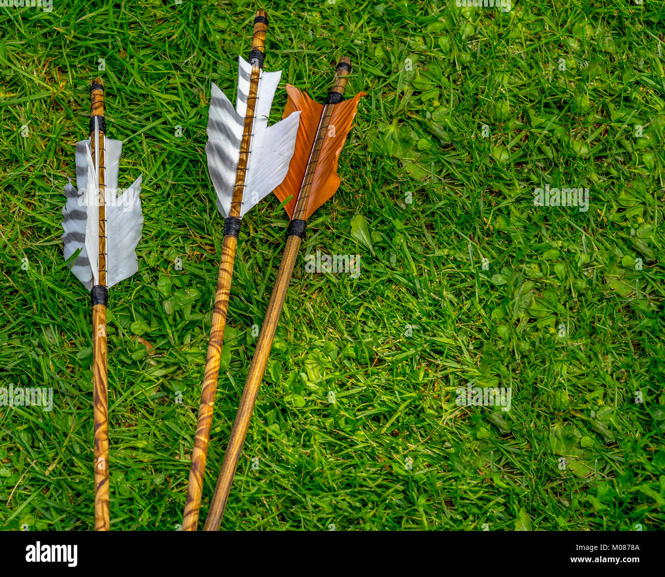 Colorful arrows lie on a meadow Stock Photo - Alamy