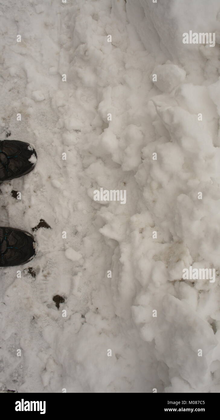Snowy background snow texture. White snow flat layer lying on the ...