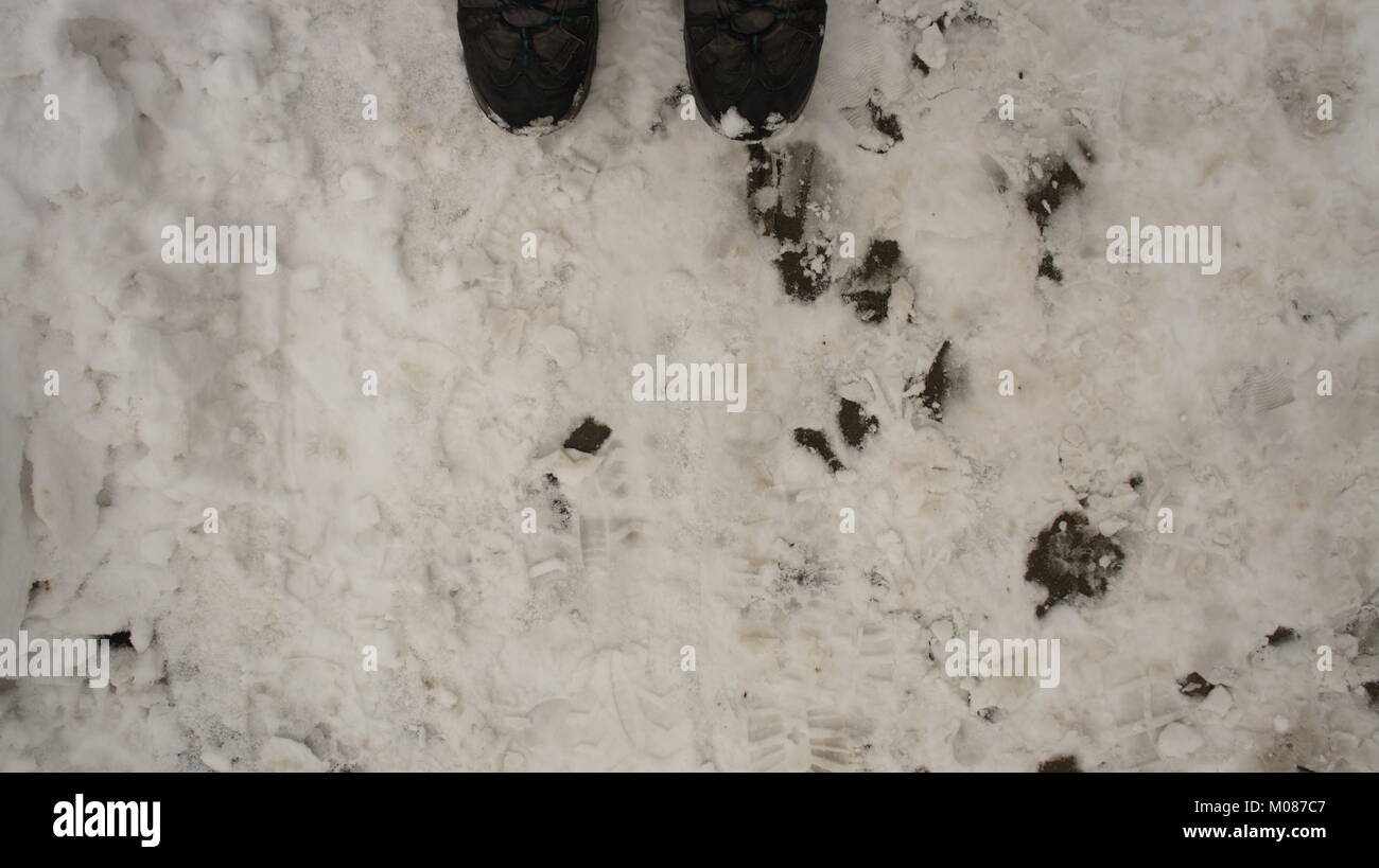 Snowy background snow texture. White snow flat layer lying on the ...