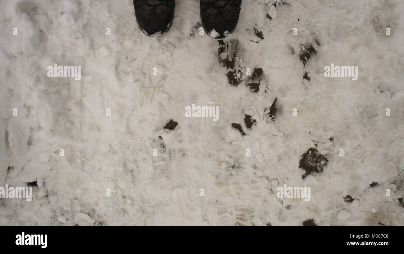 Snowy background snow texture. White snow flat layer lying on the ...
