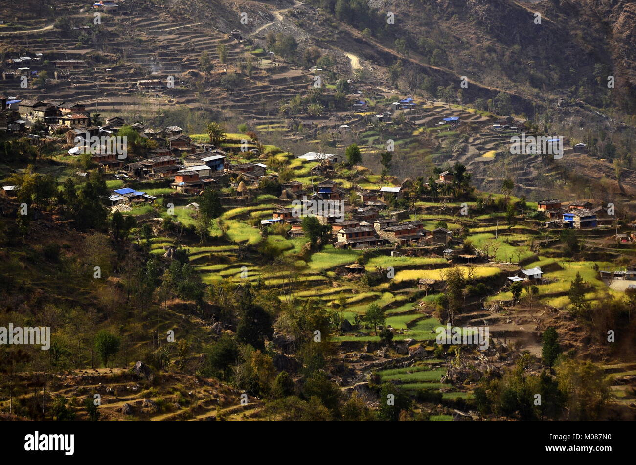 Nepalese village agriculture Stock Photo - Alamy