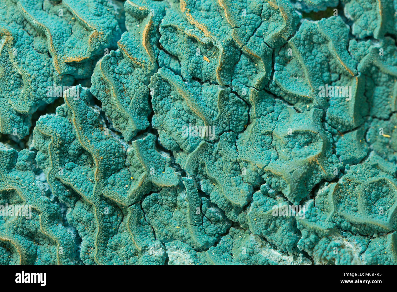 Turquoise stone texture hi-res stock photography and images - Alamy
