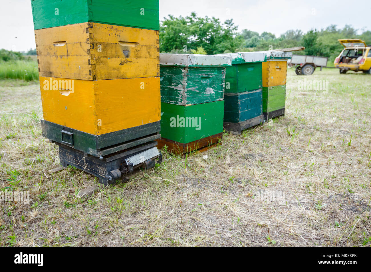Hive is placed on a weighing scale to estimating bee's efficiency in ...