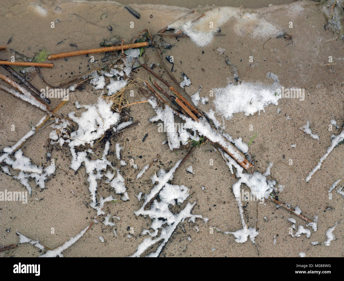 Ice, snow and dead plants on the beach sand, overhead shot Stock Photo ...