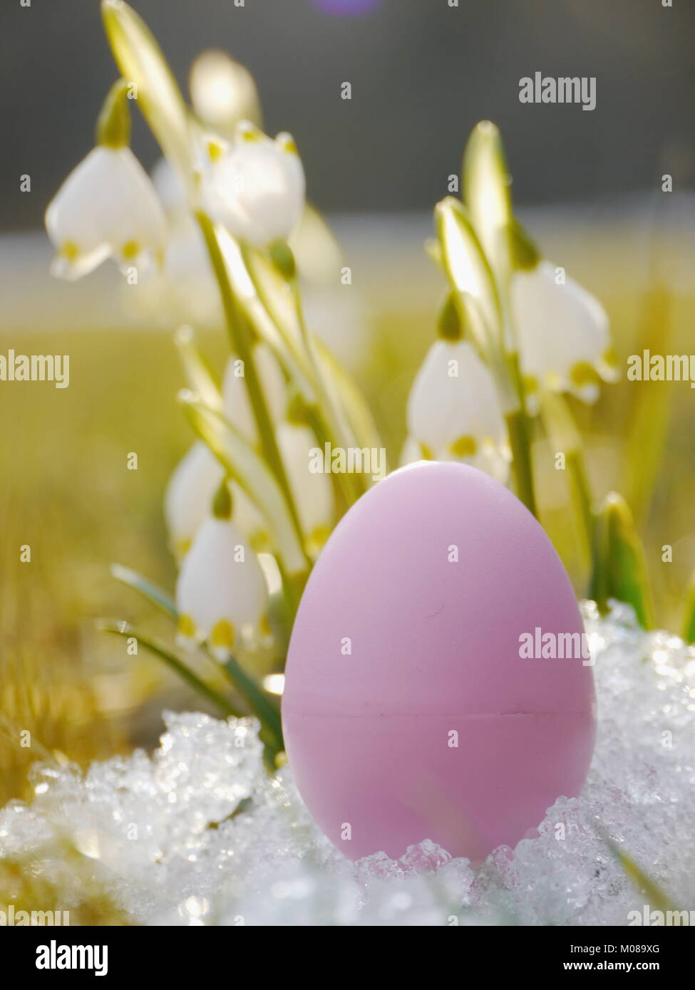lot of fans soccer match Stock Photo - Alamy