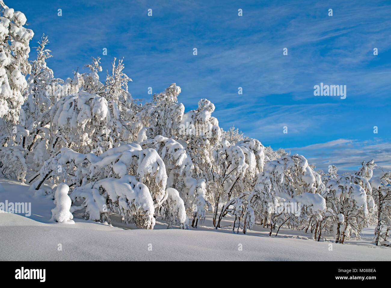 Picture from telemark, norway, winter landscape in rauland Stock Photo ...