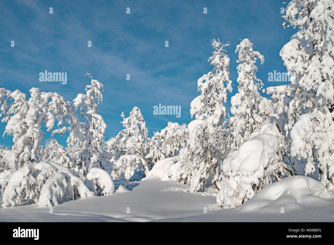 Picture from telemark, norway, winter landscape in rauland Stock Photo ...