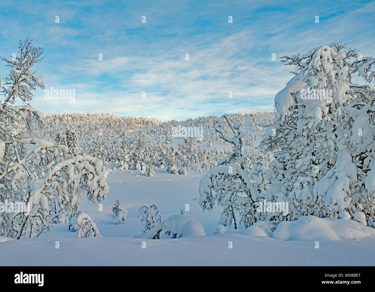 Picture from telemark, norway, winter landscape in rauland Stock Photo ...