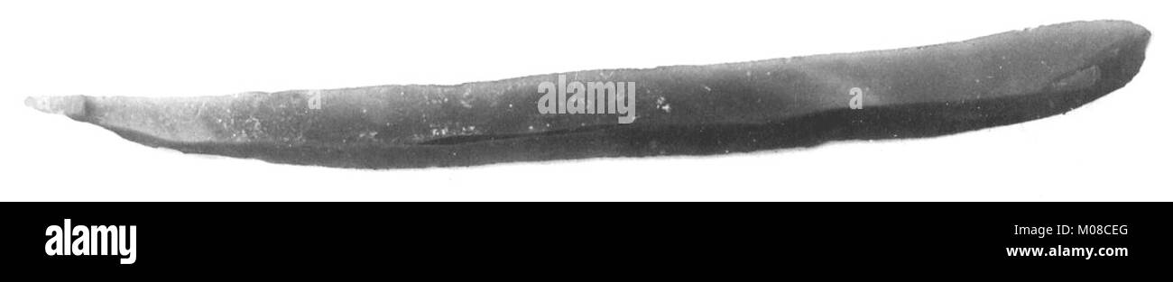 This pointed flake is an archaeological artifact representing early ...
