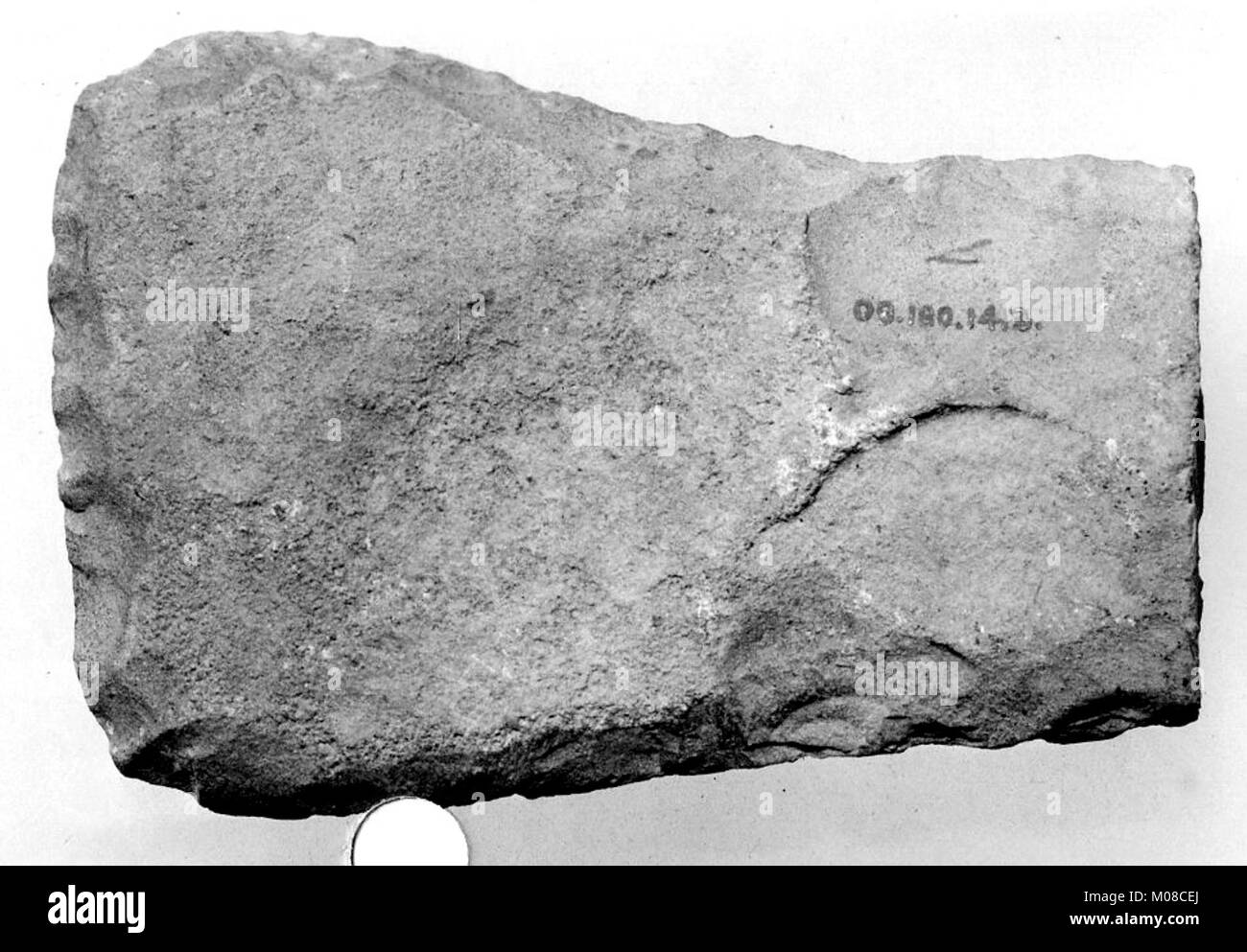 This agricultural tool, the hoe, was commonly used for digging ...