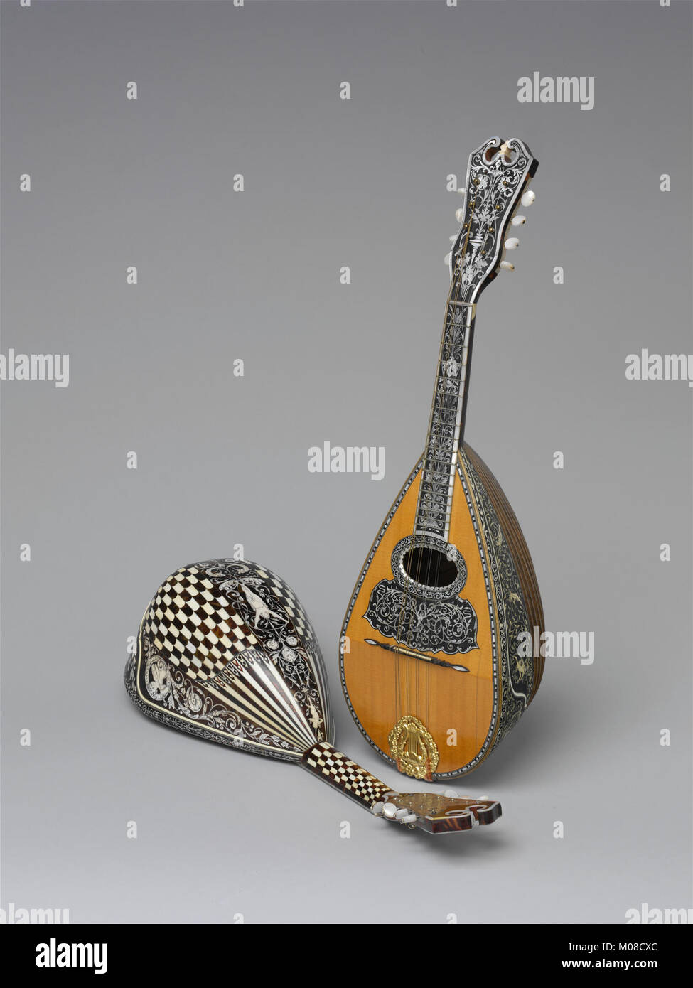 This mandolin is a stringed musical instrument, known for its bright ...