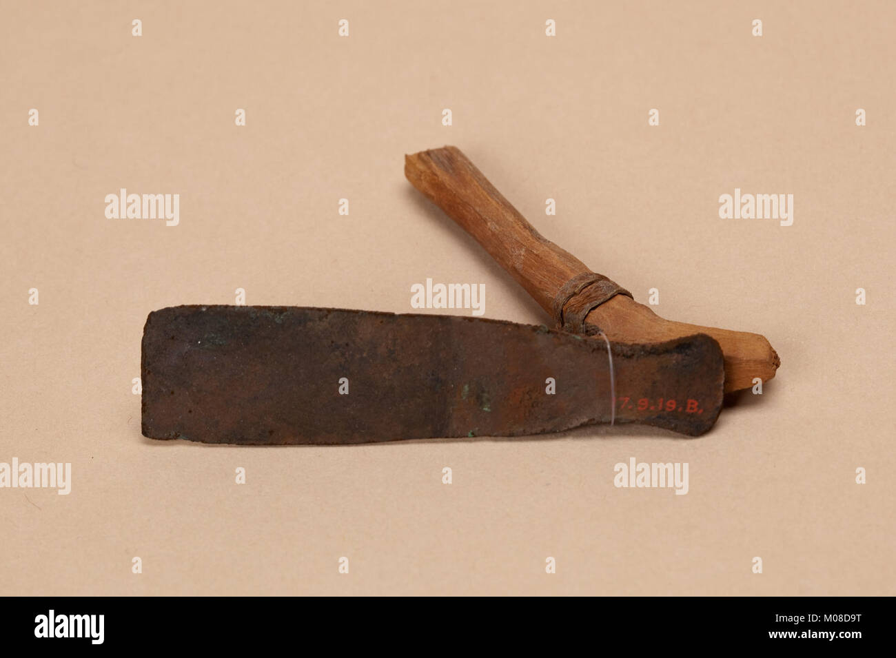 Model adze hi-res stock photography and images - Alamy