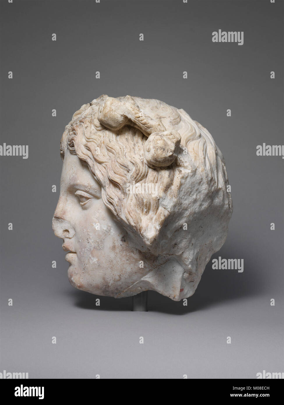 Showcasing classical facial features hi-res stock photography and ...