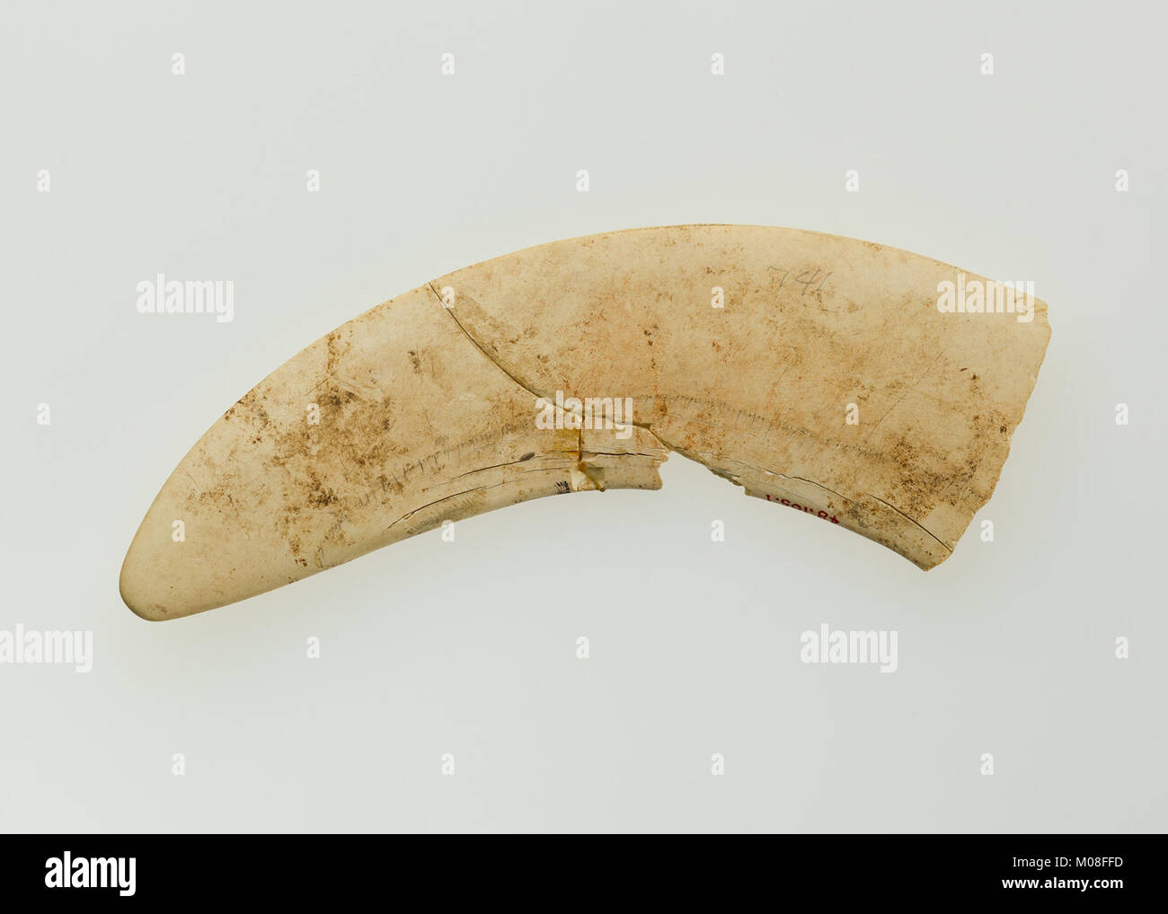 A magic wand, part of the collection at The Metropolitan Museum of Art ...