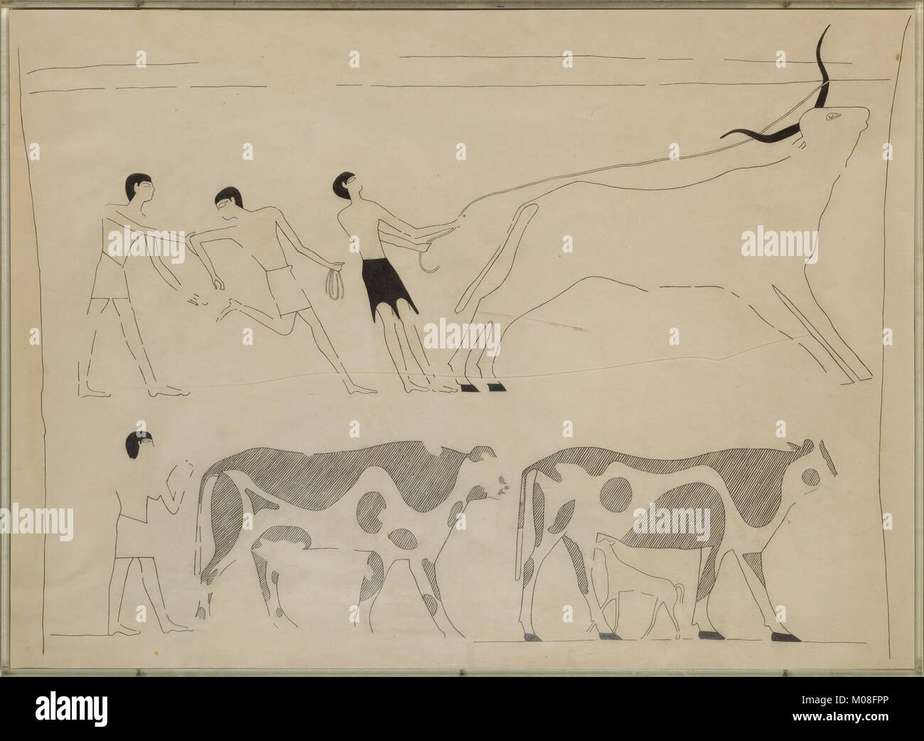 This scene from the Tomb of Djari depicts men roping a bull and driving ...