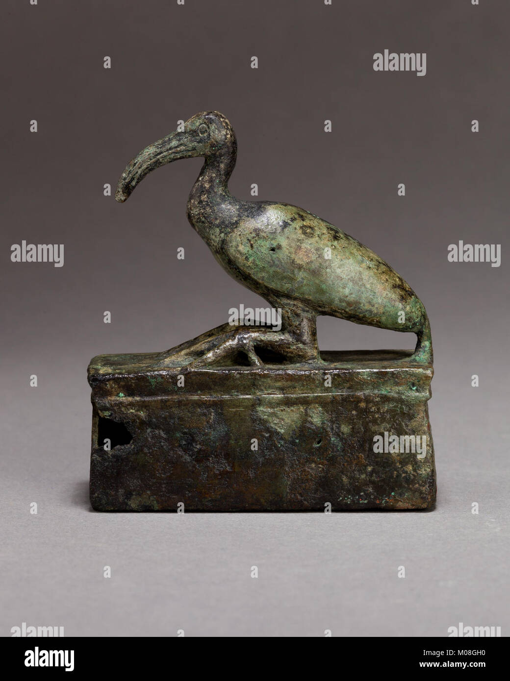 This box, shaped like an ibis and likely used for an animal mummy ...