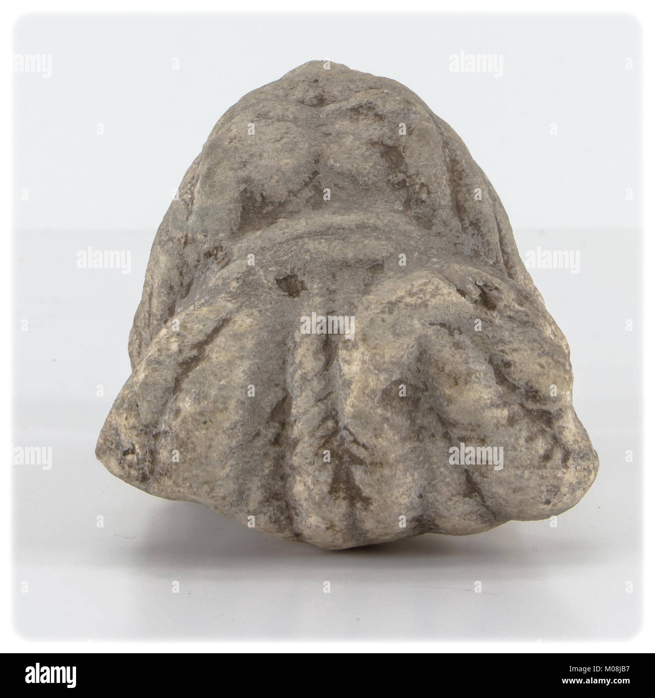 Showcasing modern Cut Out Stock Images & Pictures - Alamy