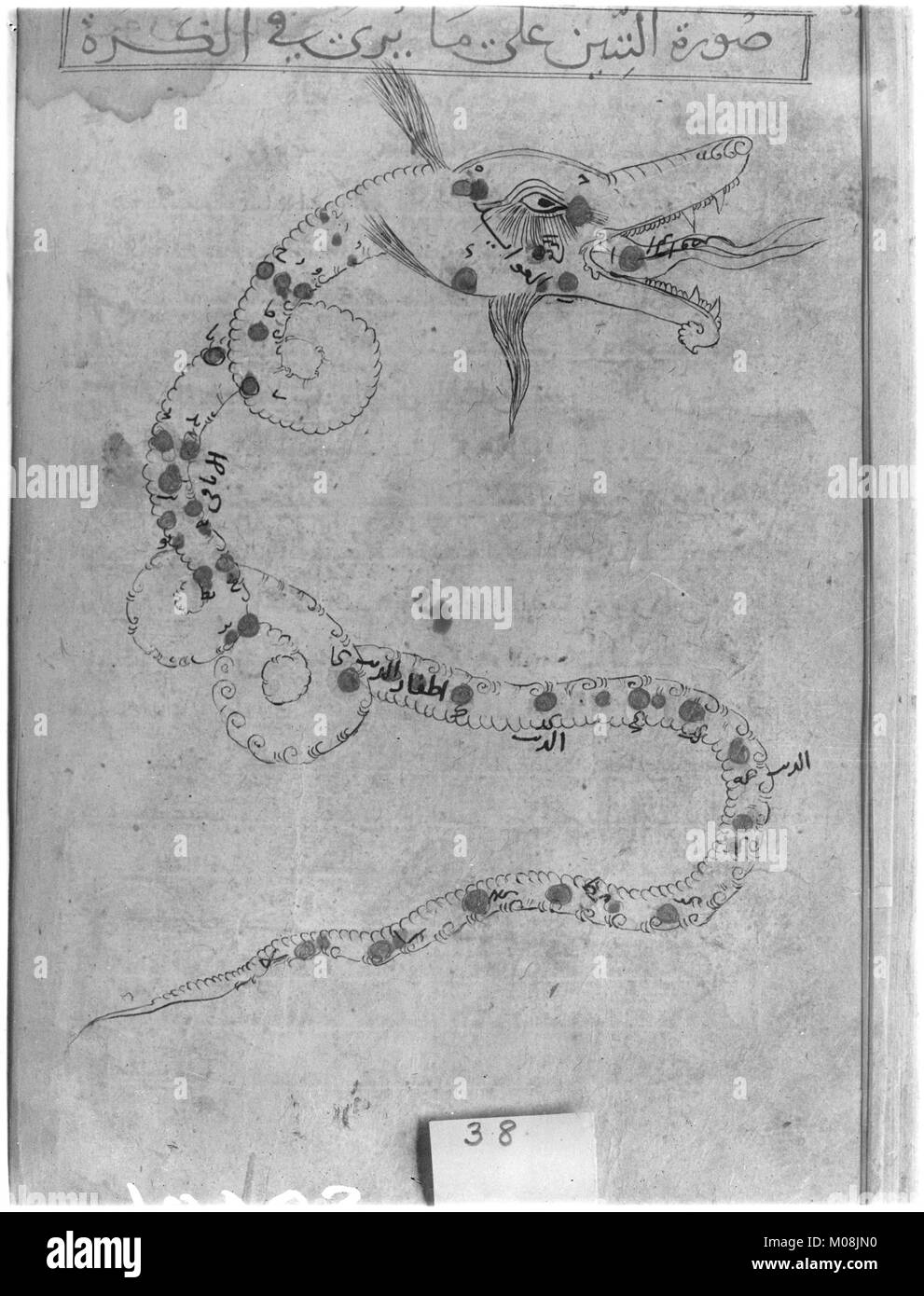 Observation manuscript Black and White Stock Photos & Images - Alamy