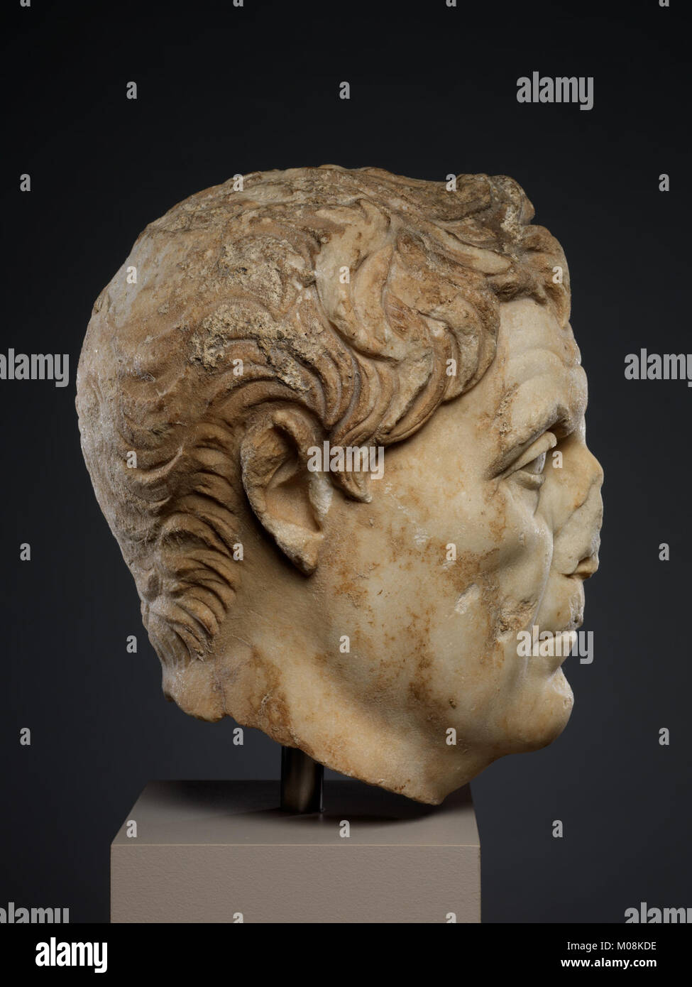 Typical representation man in hi-res stock photography and images - Alamy