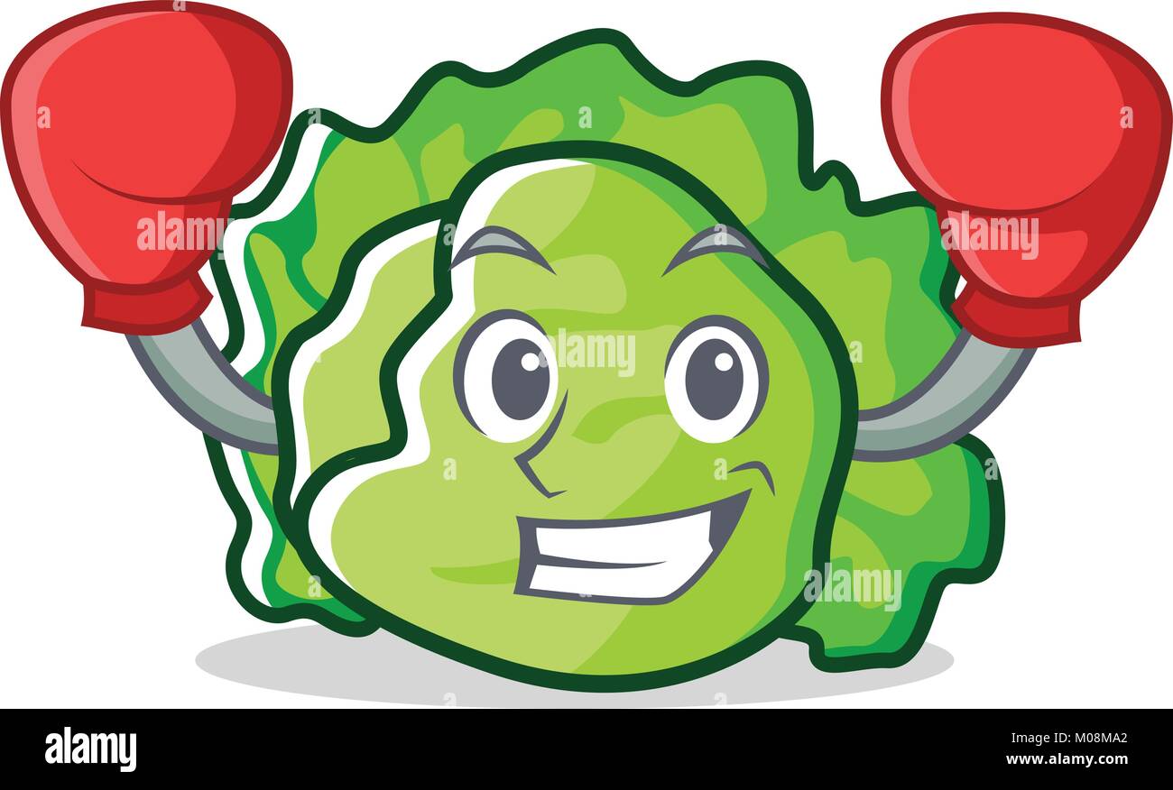 Boxing lettuce character cartoon style Stock Vector Image & Art - Alamy