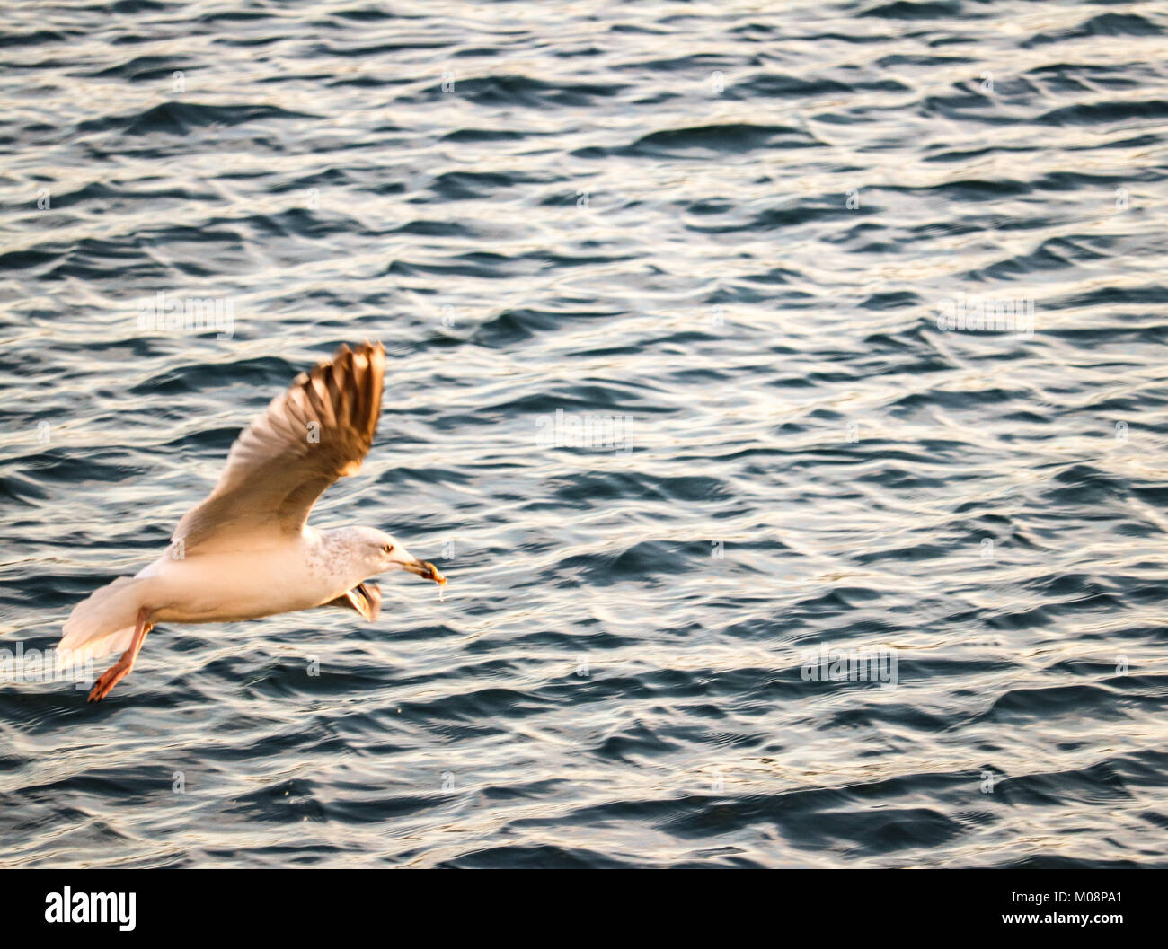 Maneuverstar hi-res stock photography and images - Alamy