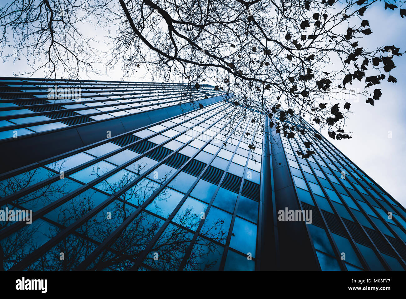 Windows of Skyscraper. Business building. Exterior of building Stock ...