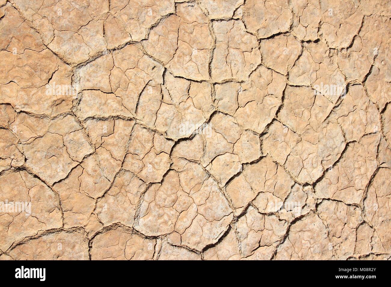Mojave Desert background - dried cracked mud in Death Valley National ...