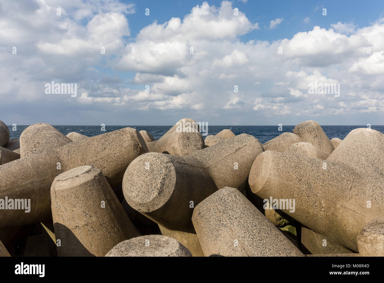 Tetrapod Stock Photos & Tetrapod Stock Images - Alamy